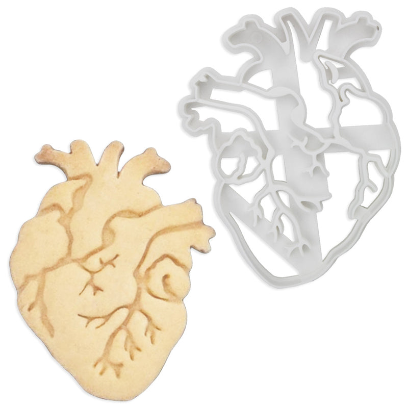 Human Heart Embossing Cookie Cutter – Layer Cake Shop